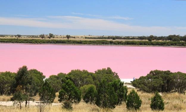 Lo strano fenomeno del Lago Retba in Senegal